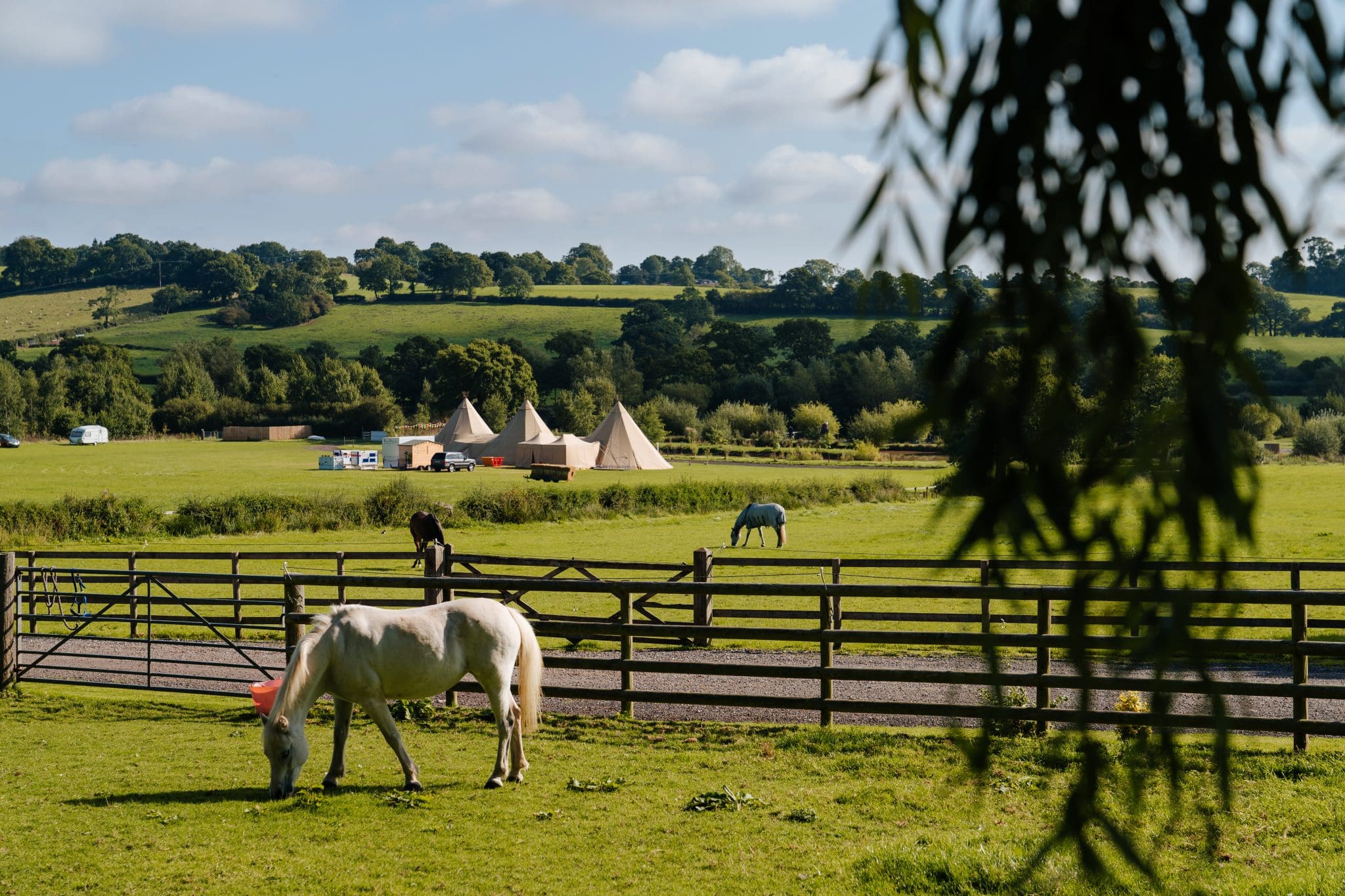 Tipi Designs | Sustainable Tents | The Tipi Company